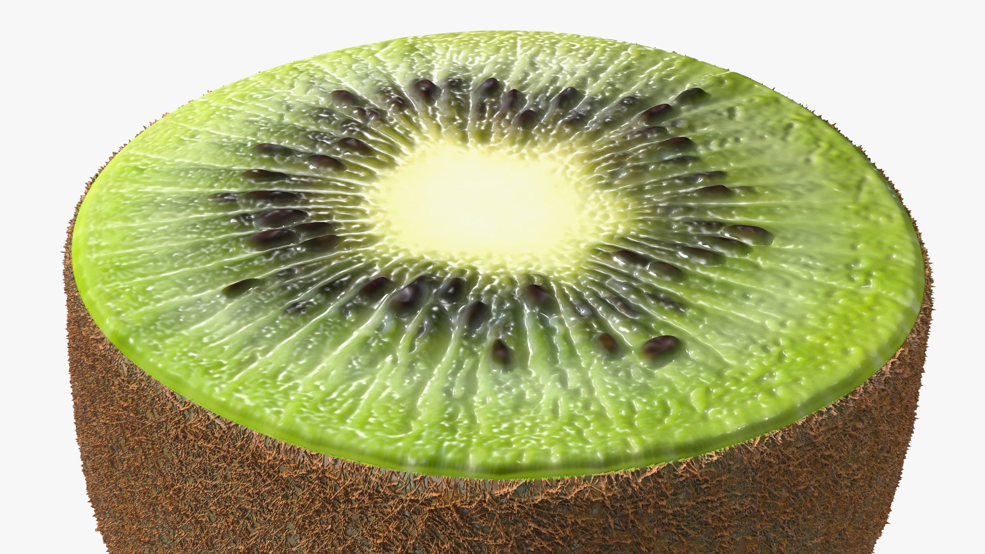 Kiwi Halves 3D model - TurboSquid 2166880