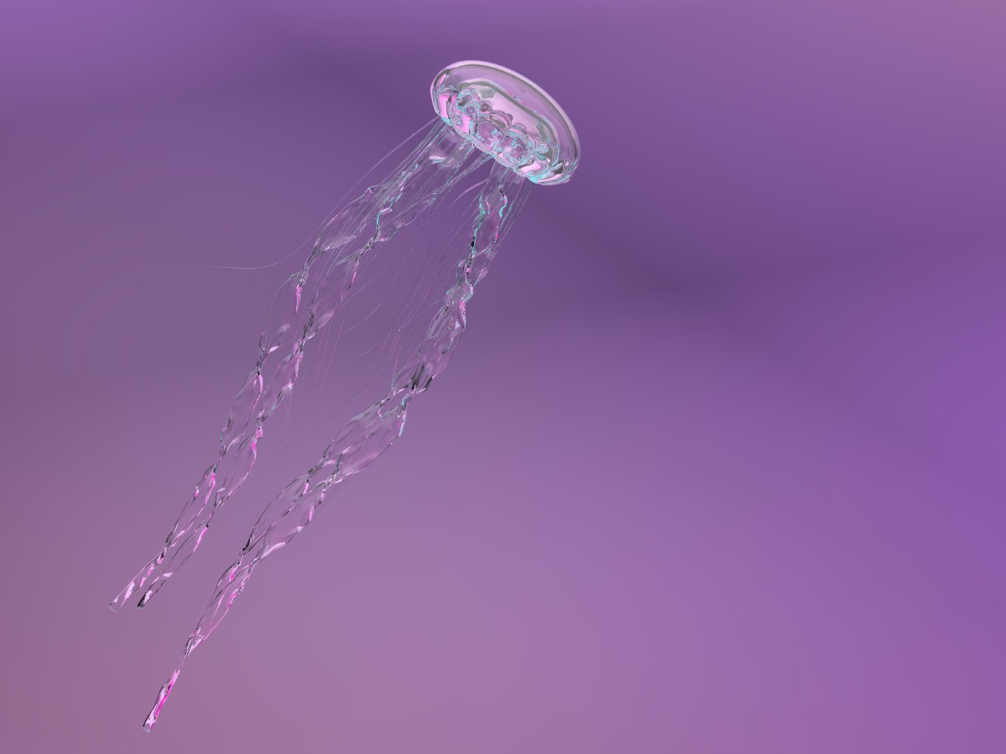 Jellyfish Model - TurboSquid 1375887