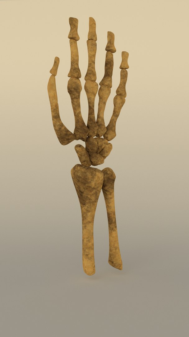 Skeleton Hand 3d Obj