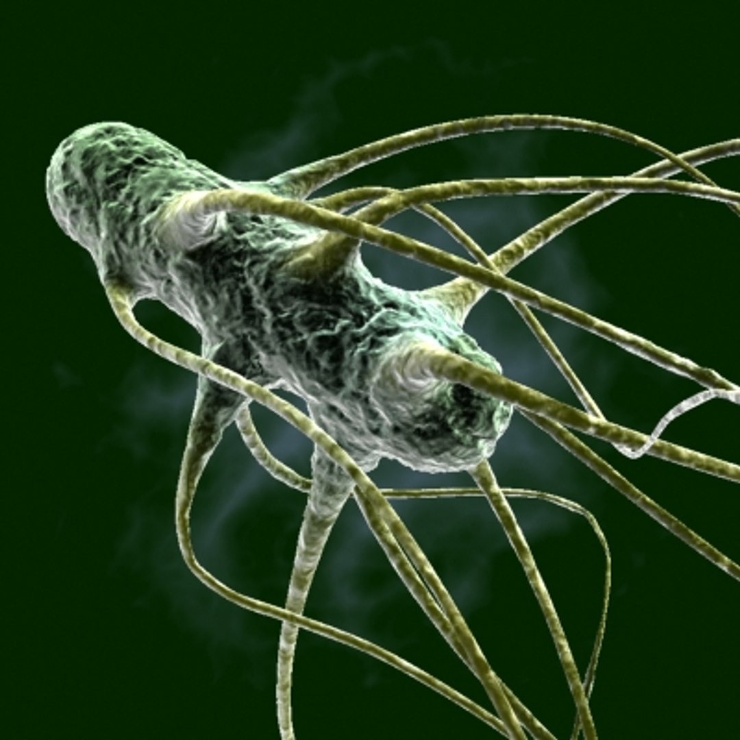 3d Salmonella Microbe Medical