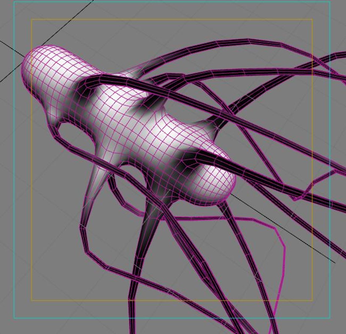 3d Salmonella Microbe Medical