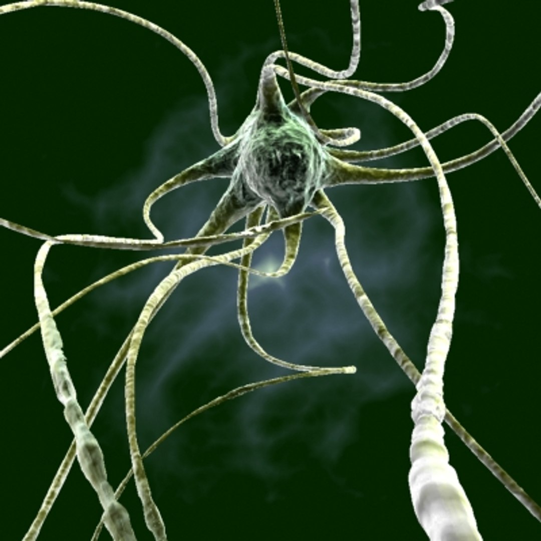 3d Salmonella Microbe Medical