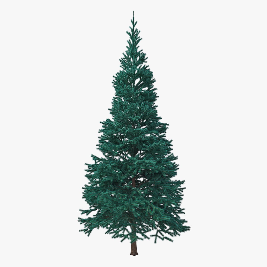 Conifer pack tree 3D model - TurboSquid 1390037