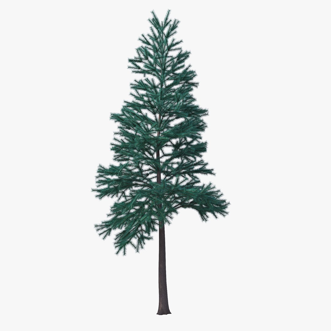 Conifer pack tree 3D model - TurboSquid 1390037