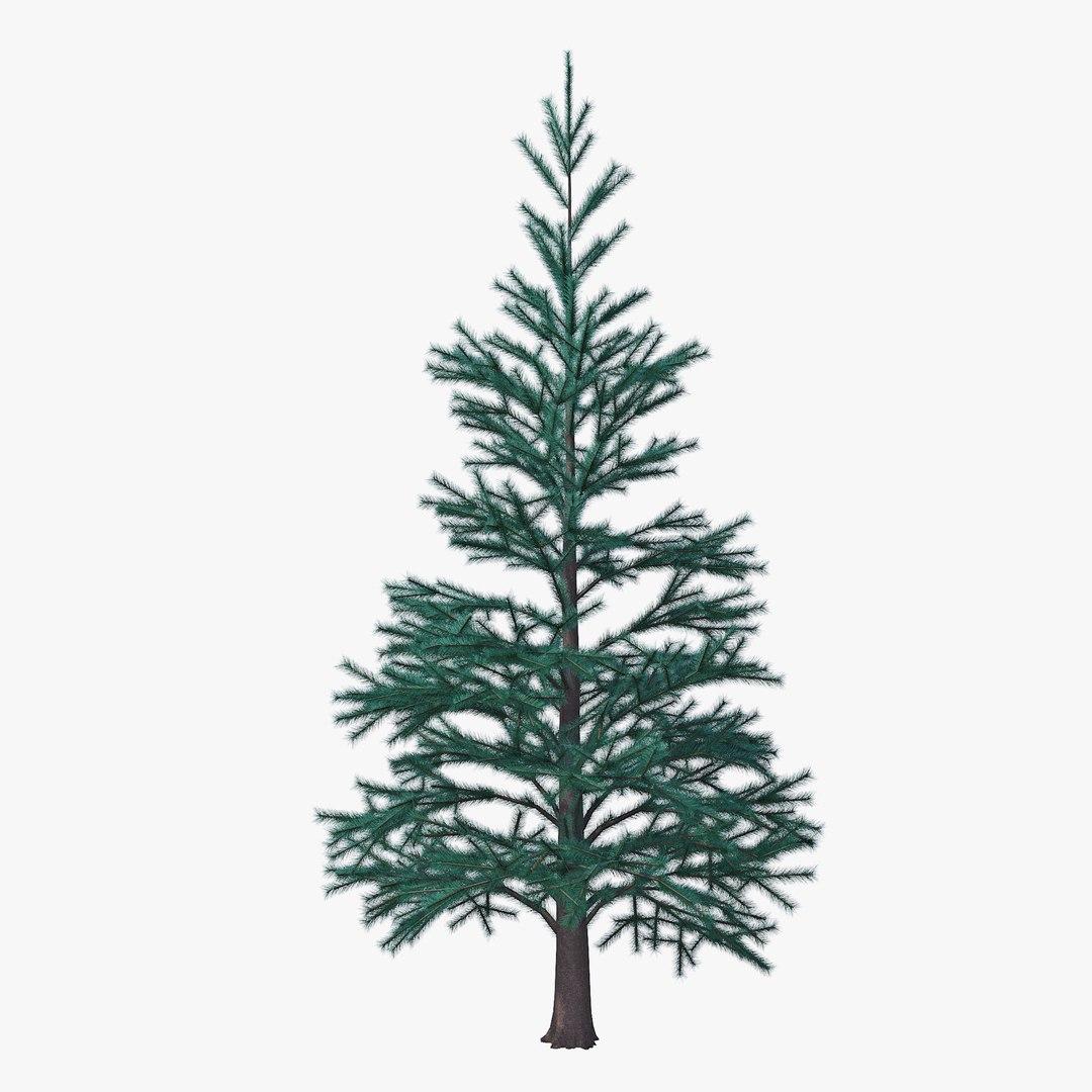 Conifer pack tree 3D model - TurboSquid 1390037