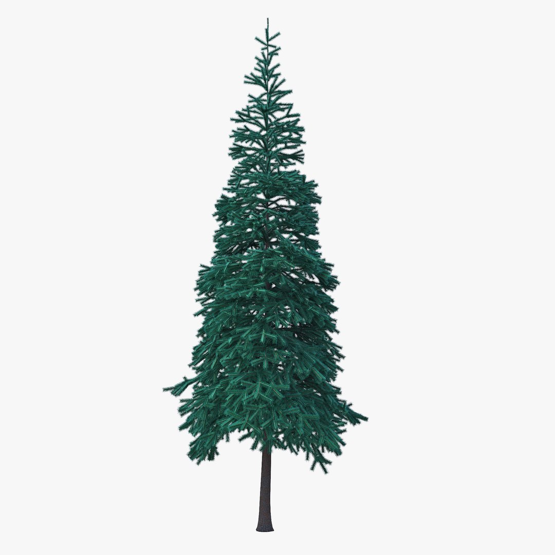 Conifer pack tree 3D model - TurboSquid 1390037