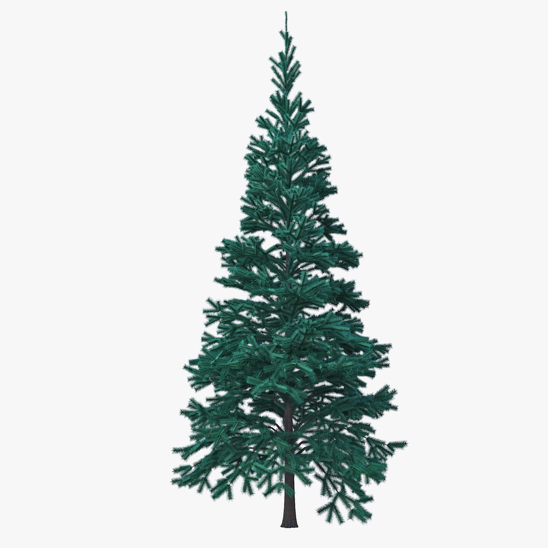 Conifer pack tree 3D model - TurboSquid 1390037