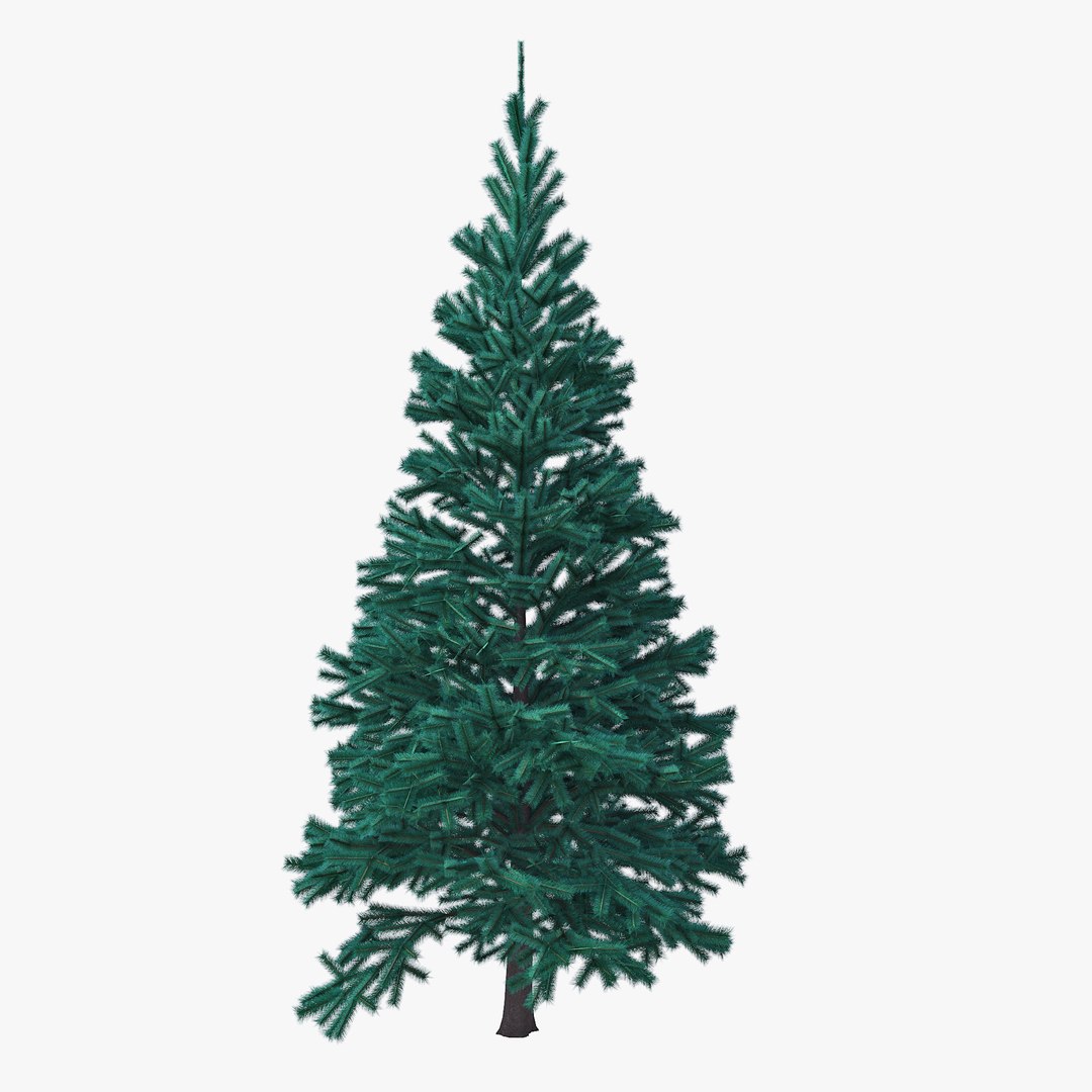 Conifer pack tree 3D model - TurboSquid 1390037