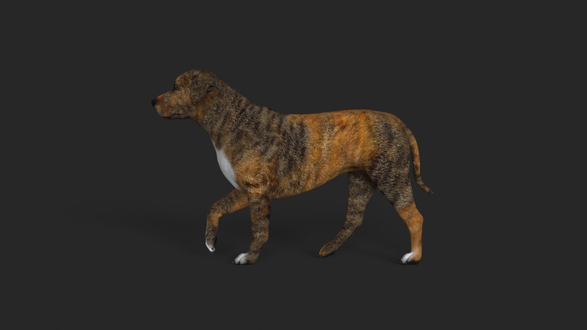 3D Model LAB-020 Dog Walking - TurboSquid 1914412