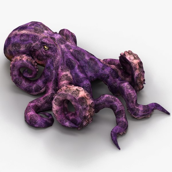 3d max octopus mollusc cephalopod