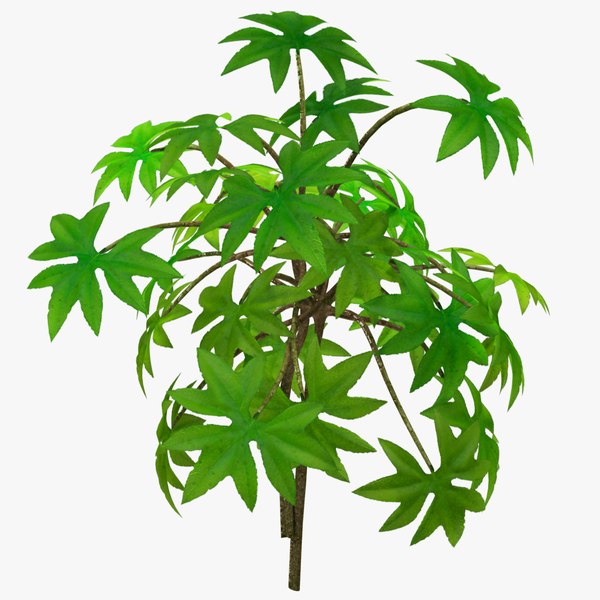 Small plant 3D model - TurboSquid 1171980