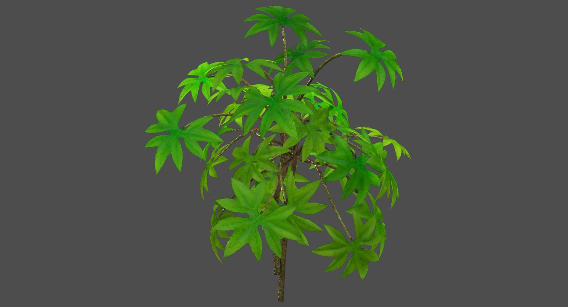 Small Plant 3D Model - TurboSquid 1171980
