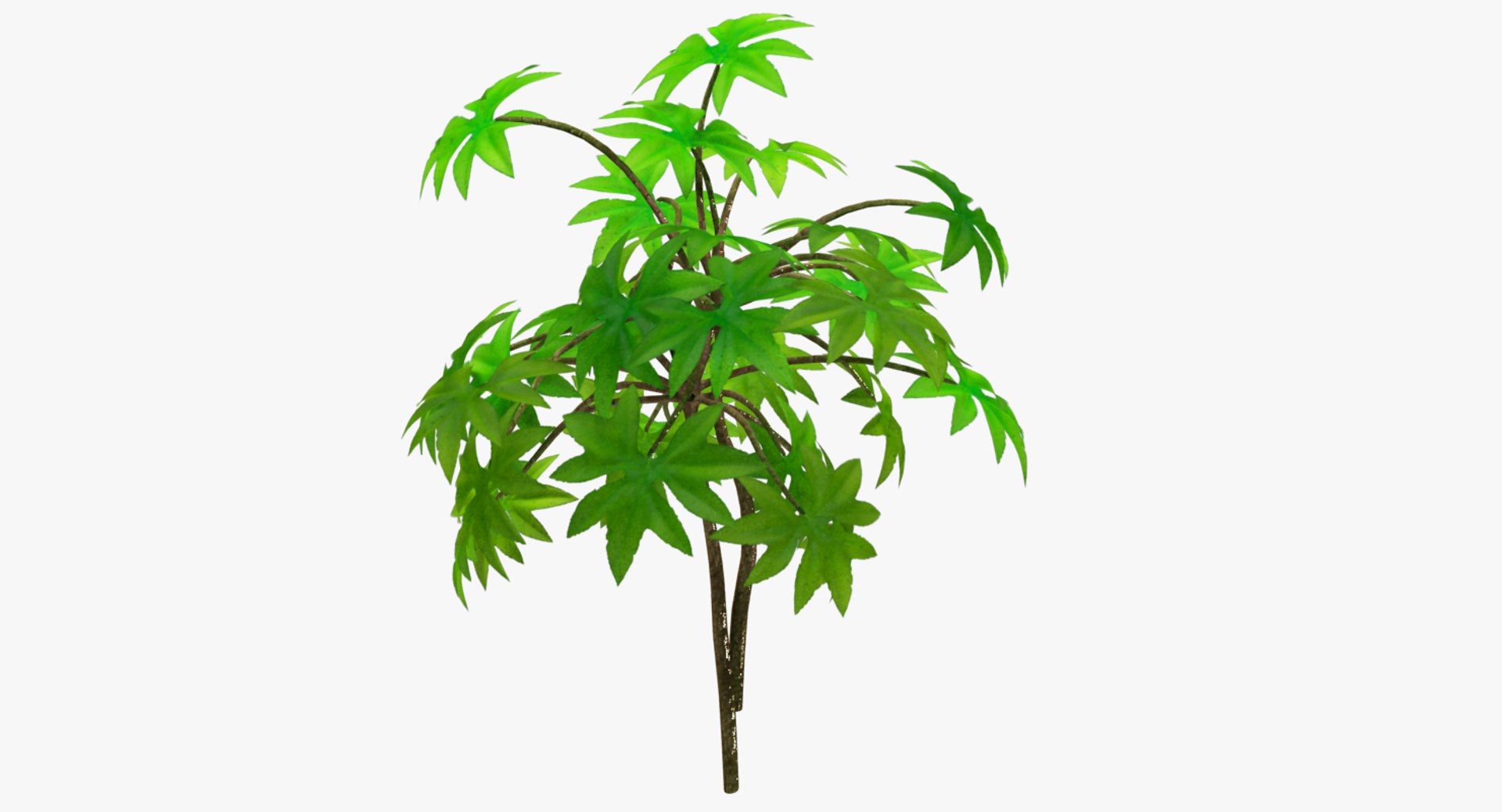 Small Plant 3D Model - TurboSquid 1171980