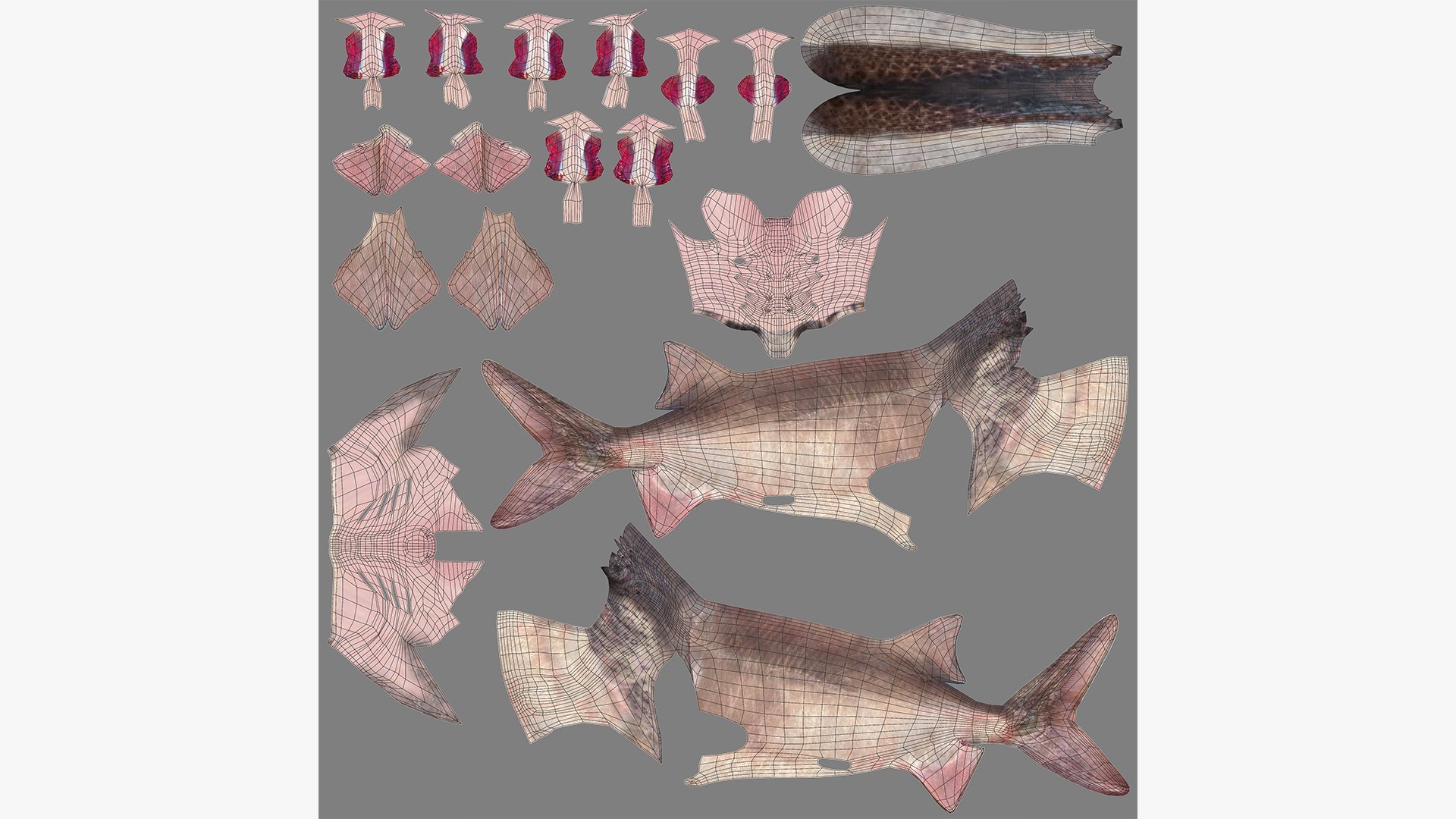 American Paddlefish 3D Model - TurboSquid 1762205