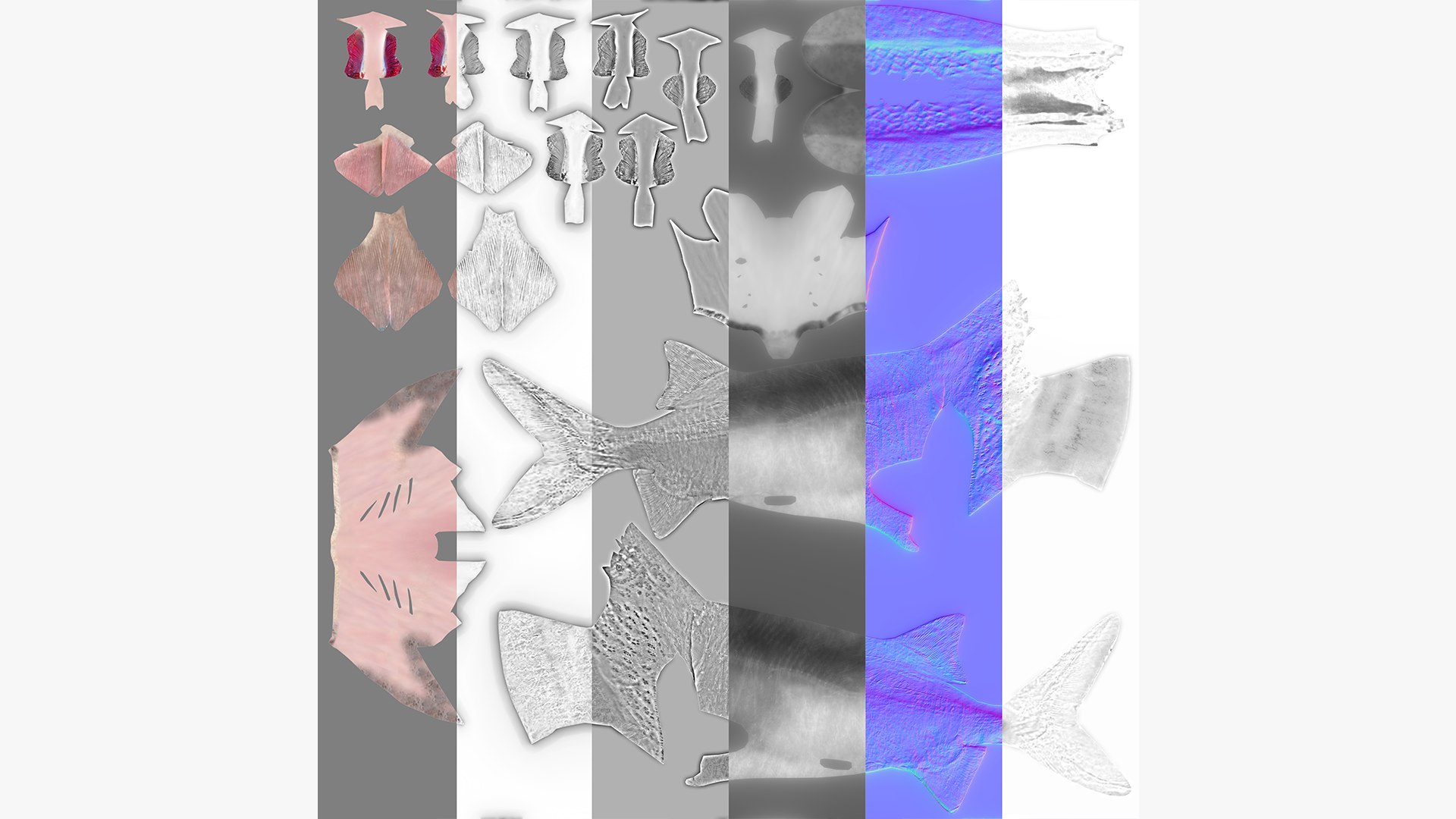 American Paddlefish 3D Model - TurboSquid 1762205