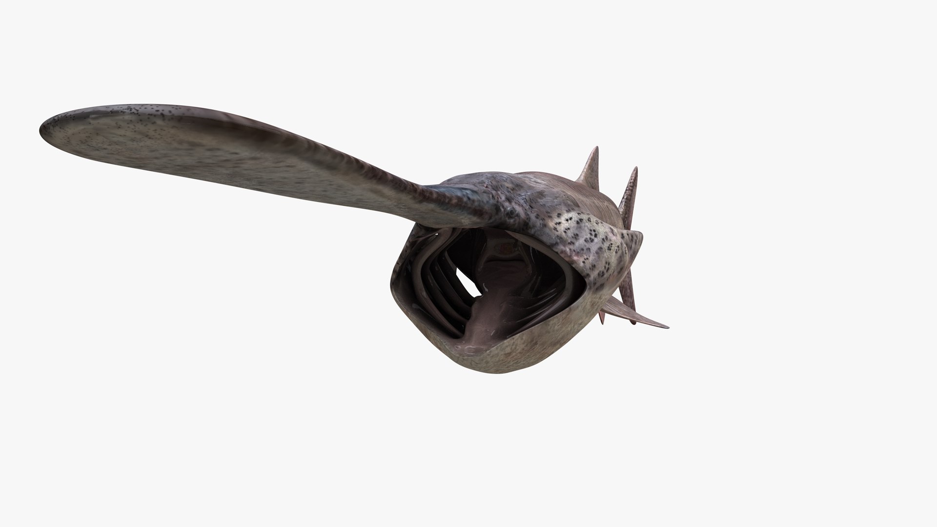 American Paddlefish 3D Model - TurboSquid 1762205