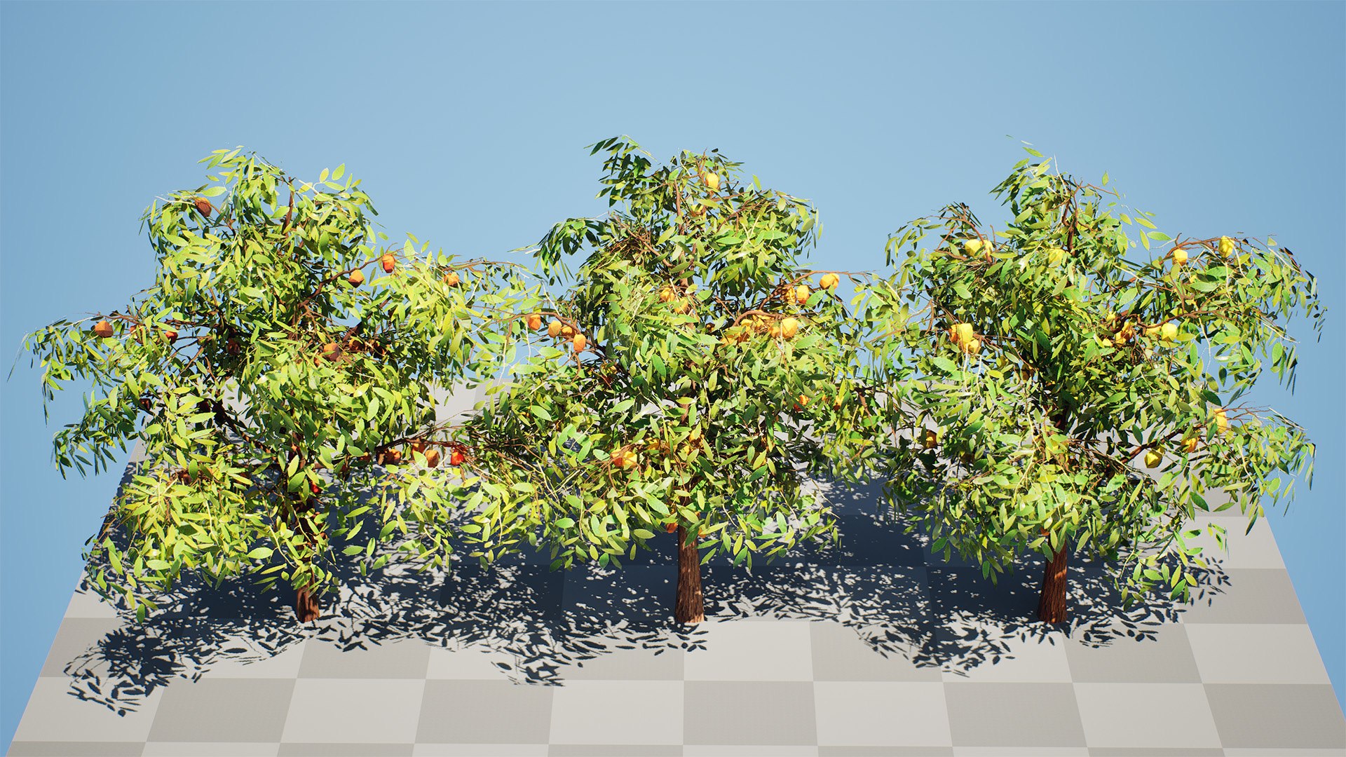 Highly Detailed Cacao Tree 3D Asset 3D Model - TurboSquid 2329567