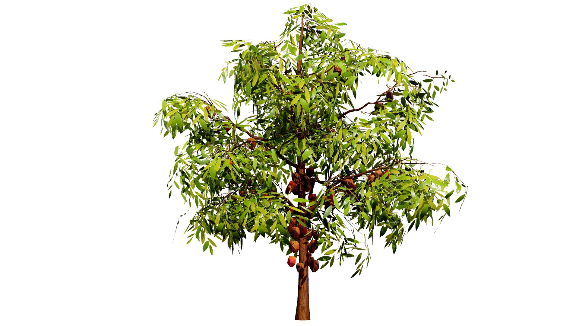Highly Detailed Cacao Tree 3D Asset 3D Model - TurboSquid 2329567