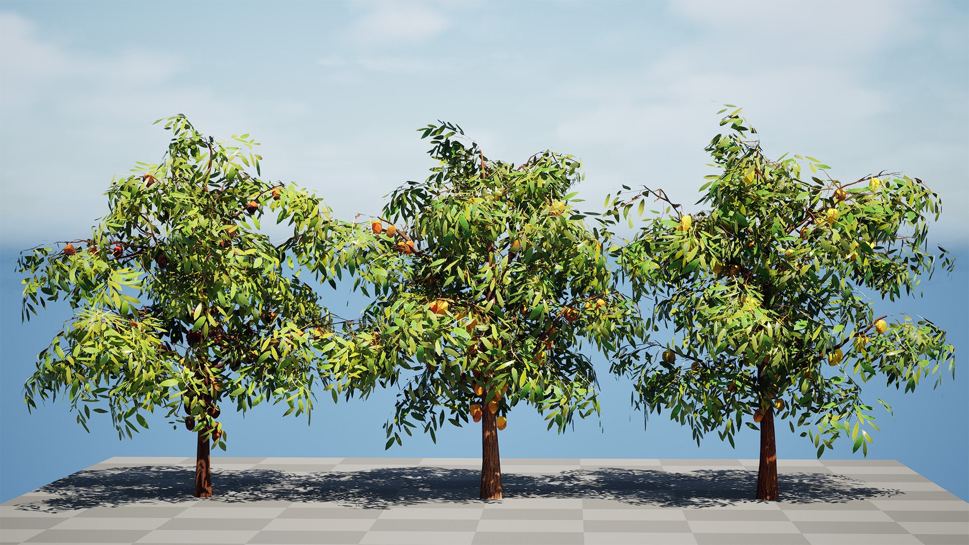 Highly Detailed Cacao Tree 3D Asset 3D Model - TurboSquid 2329567
