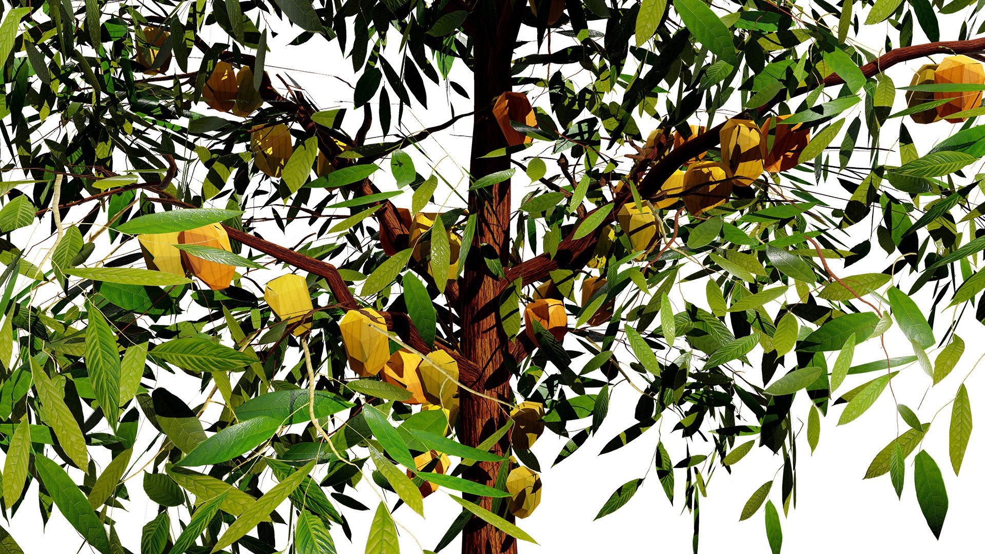 Highly Detailed Cacao Tree 3D Asset 3D Model - TurboSquid 2329567