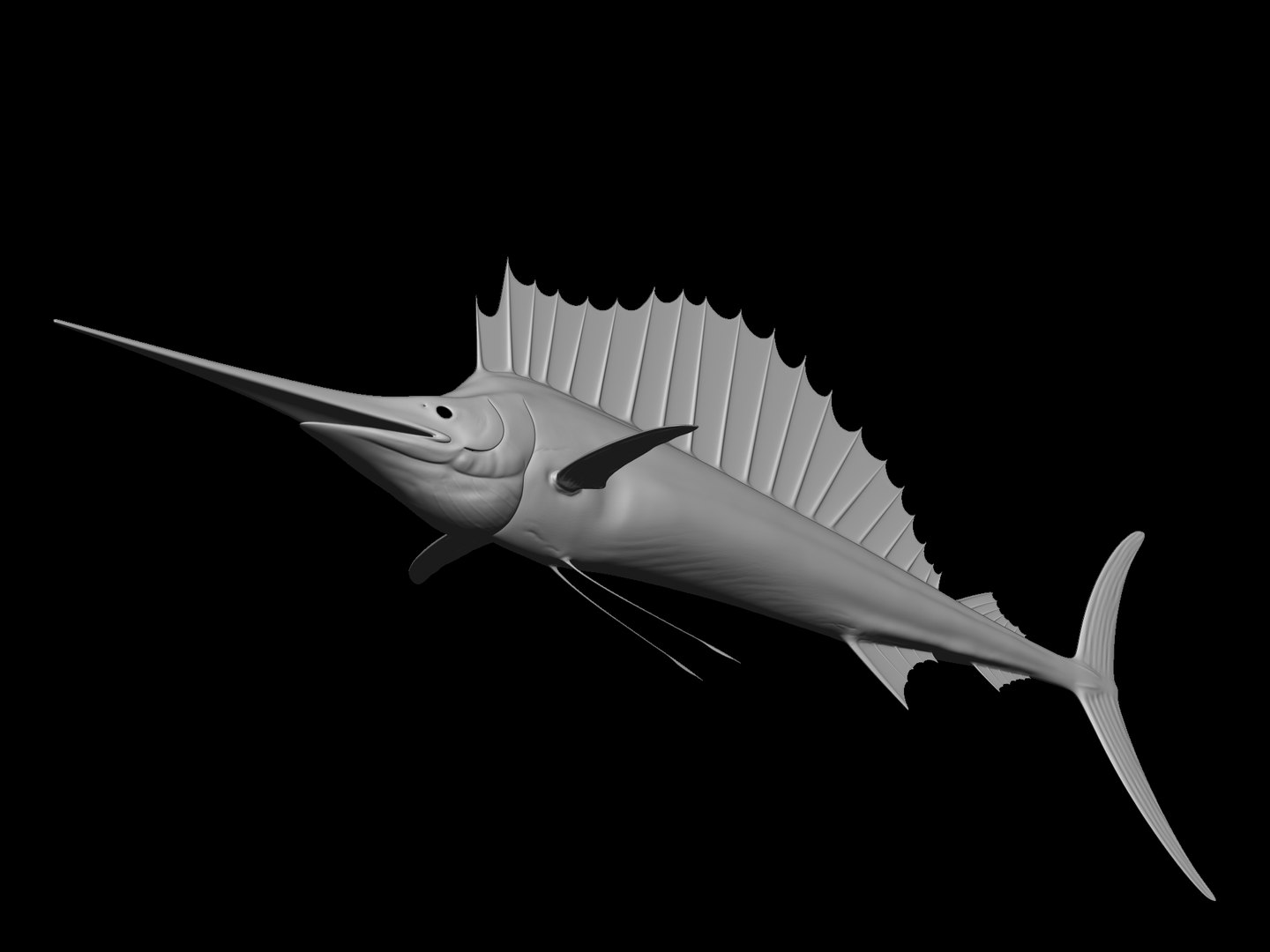 Sailfish rig 3D model - TurboSquid 1244609