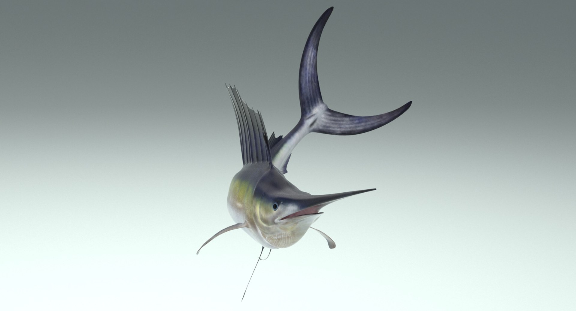Sailfish rig 3D model - TurboSquid 1244609