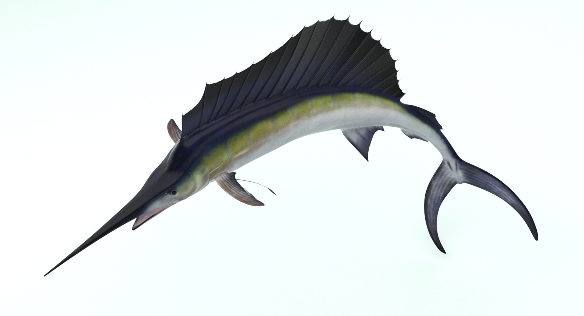 Sailfish rig 3D model - TurboSquid 1244609