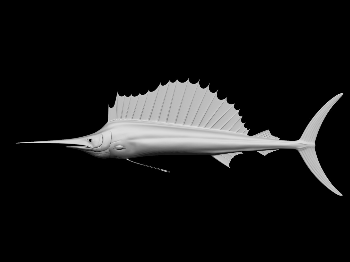 Sailfish rig 3D model - TurboSquid 1244609