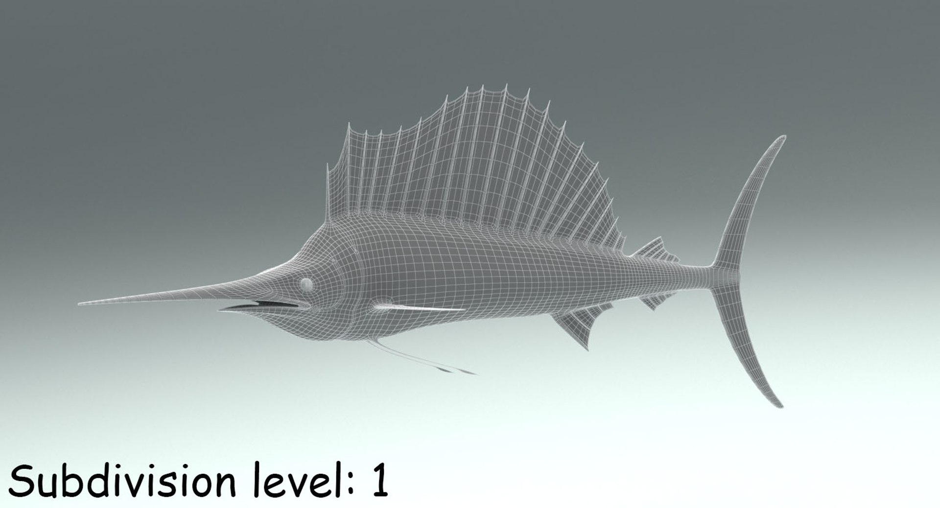 Sailfish rig 3D model - TurboSquid 1244609