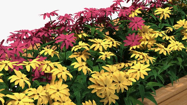 3D wooden flower planter box - TurboSquid 1621026