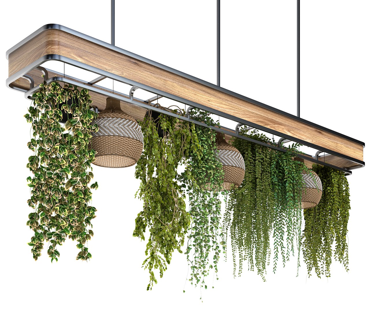 Restaurant Counter With Hanging Plants Model - TurboSquid 2028788