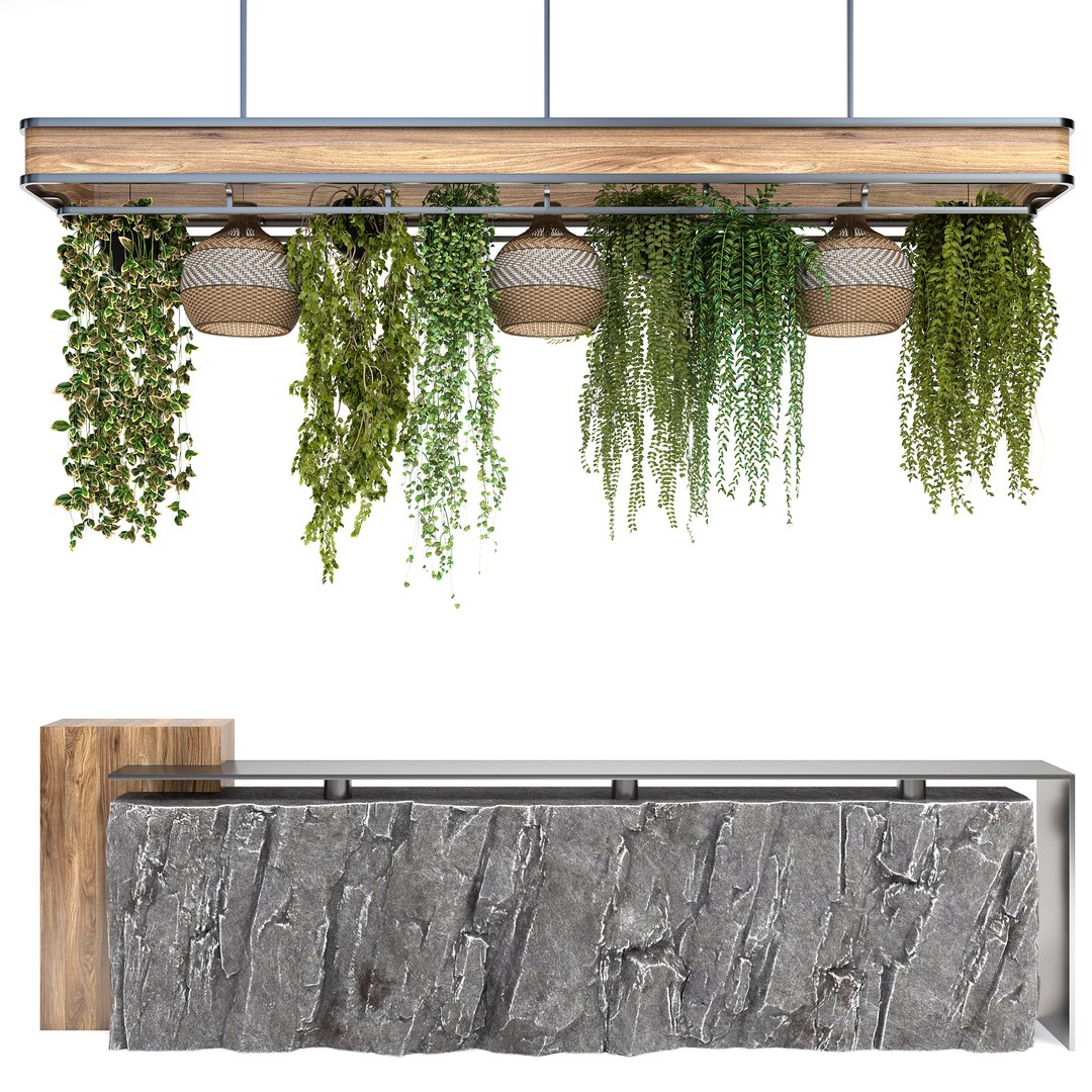 Restaurant Counter With Hanging Plants Model - TurboSquid 2028788