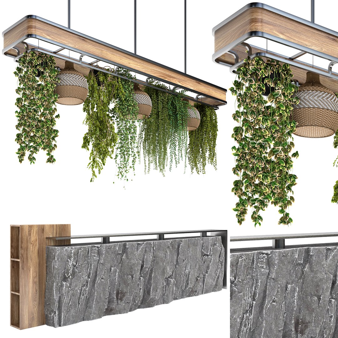 Restaurant Counter With Hanging Plants Model - TurboSquid 2028788