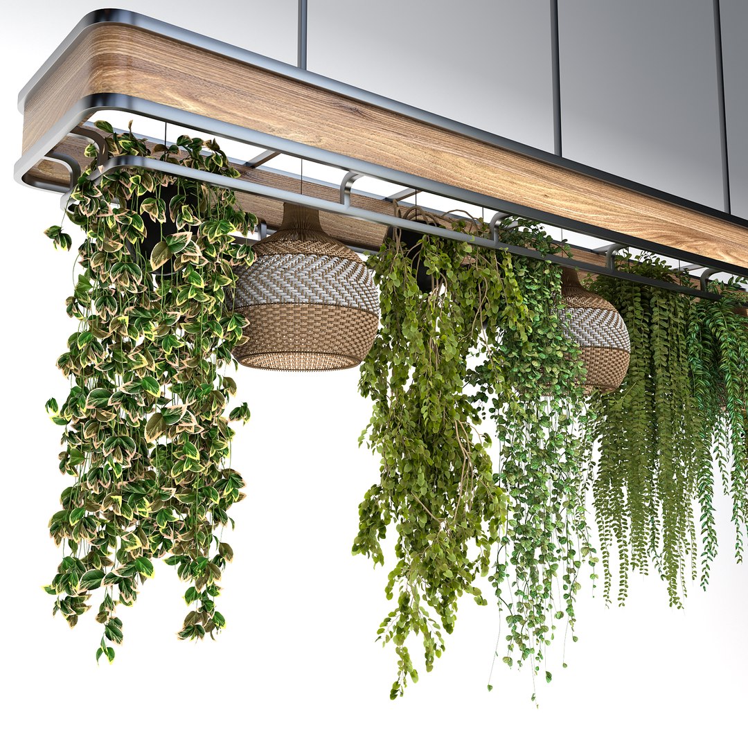 Restaurant Counter With Hanging Plants Model - TurboSquid 2028788