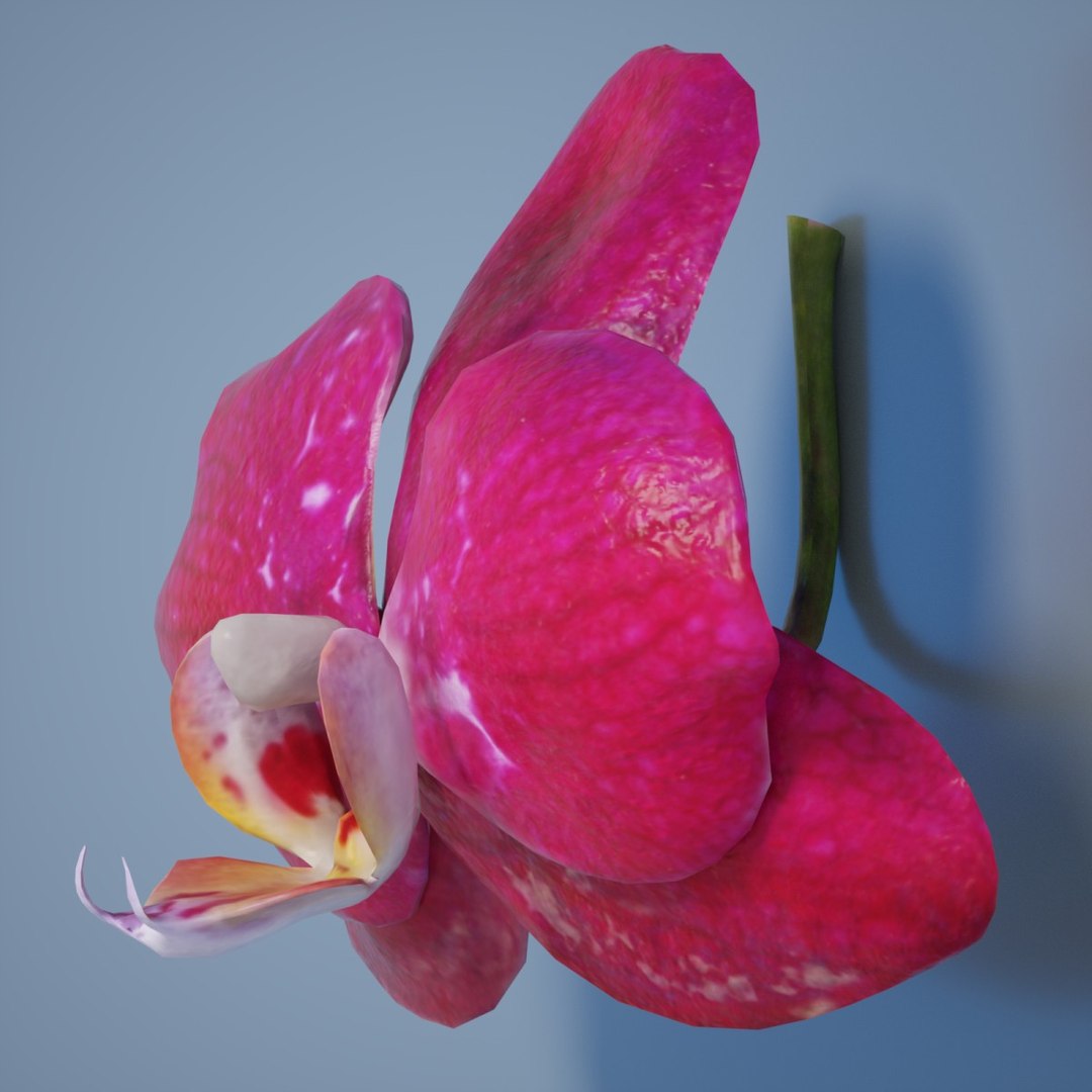 Orchid Flower Obj
