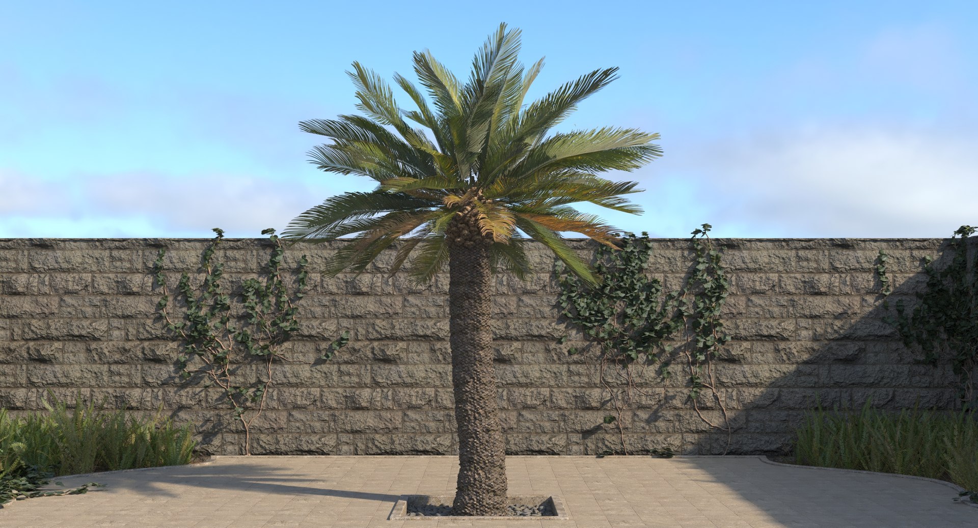 Scan Cycad Broodboom 3D Model - TurboSquid 1387106