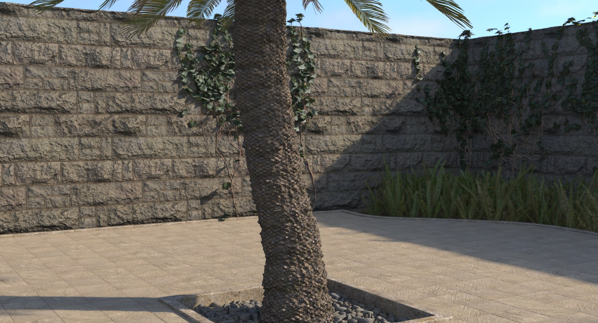 Scan Cycad Broodboom 3D Model - TurboSquid 1387106