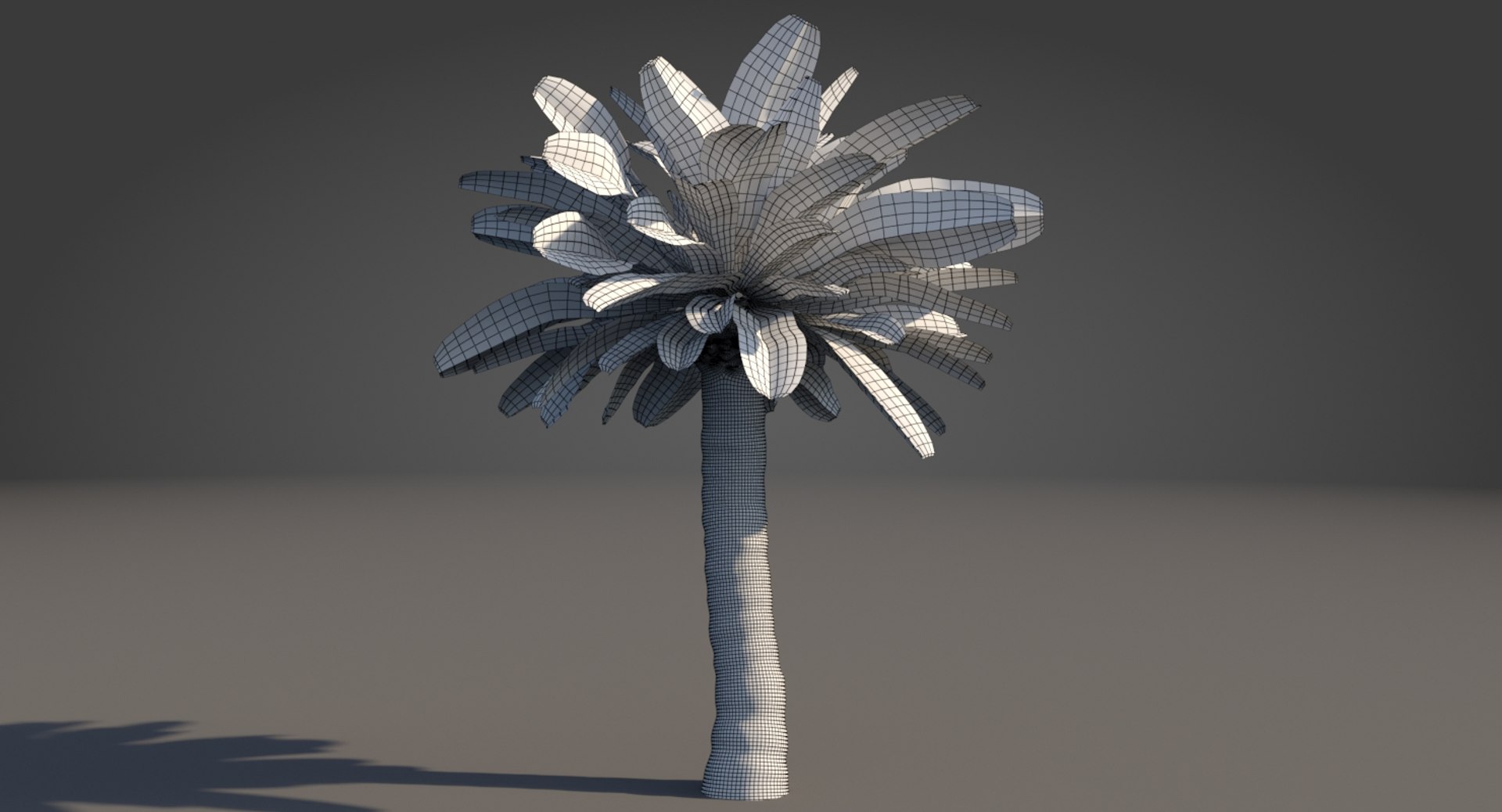 Scan Cycad Broodboom 3D Model - TurboSquid 1387106
