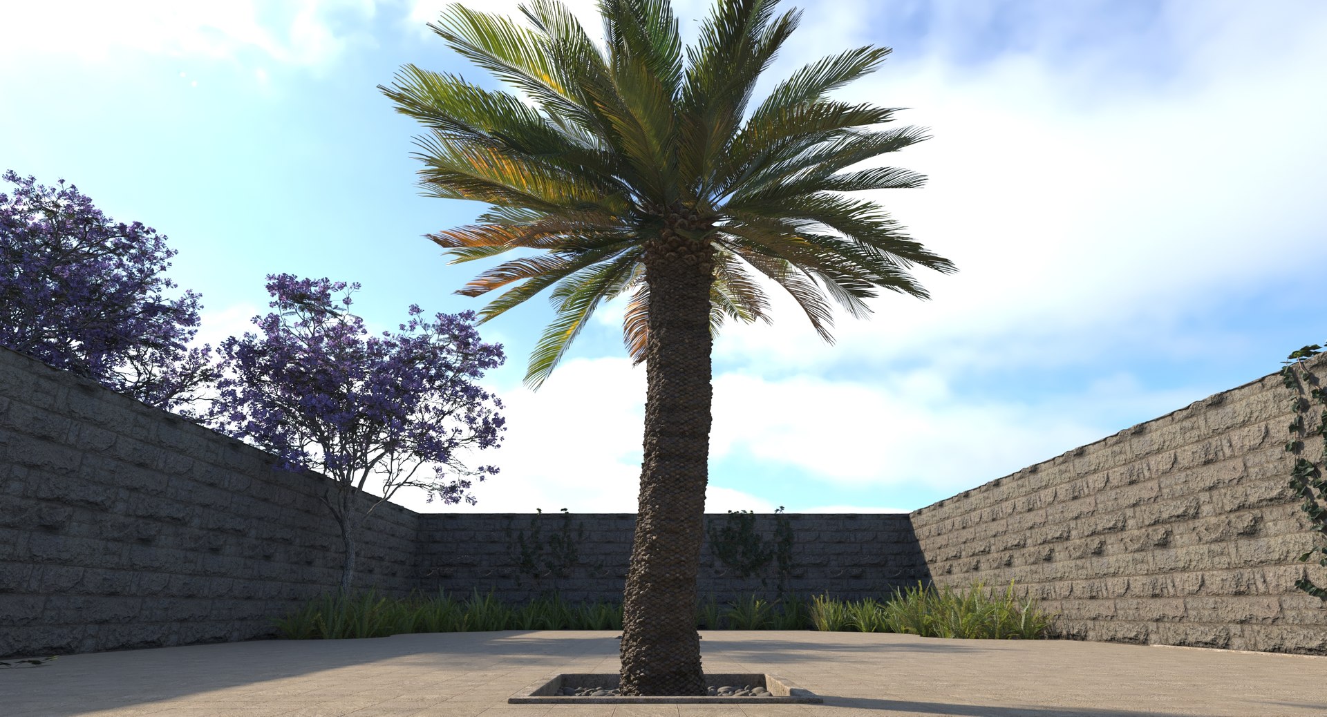 Scan Cycad Broodboom 3D Model - TurboSquid 1387106