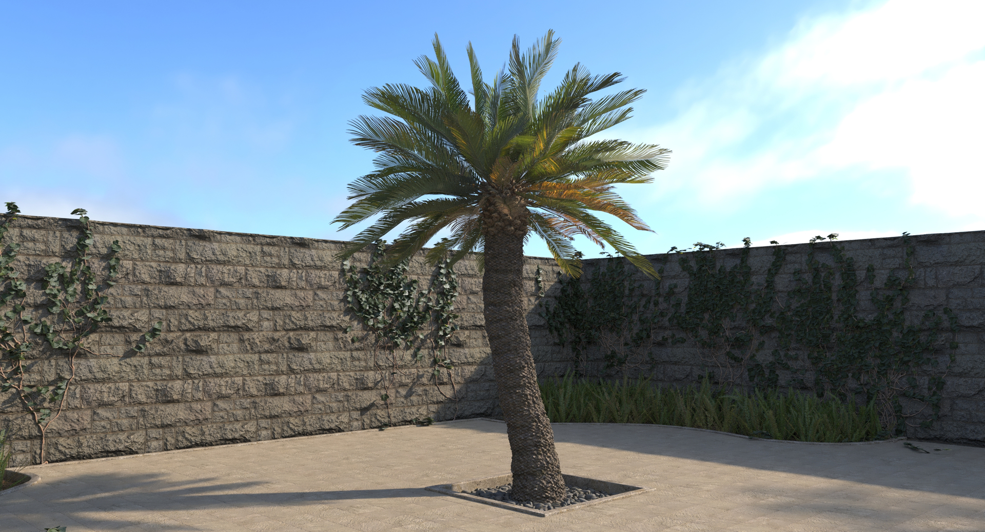 Cycad BroodBoom D3D模型 - TurboSquid 1387106