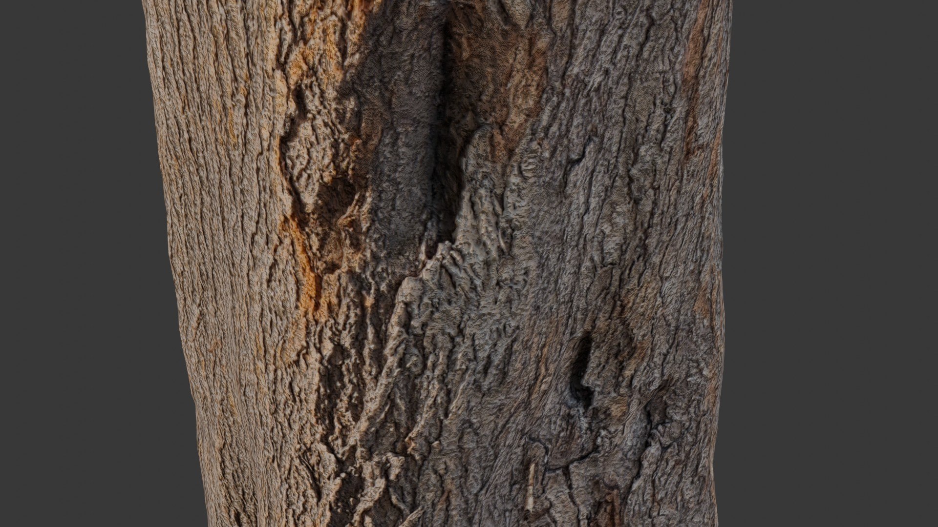 3D Realistic Tree Stump - TurboSquid 2408342