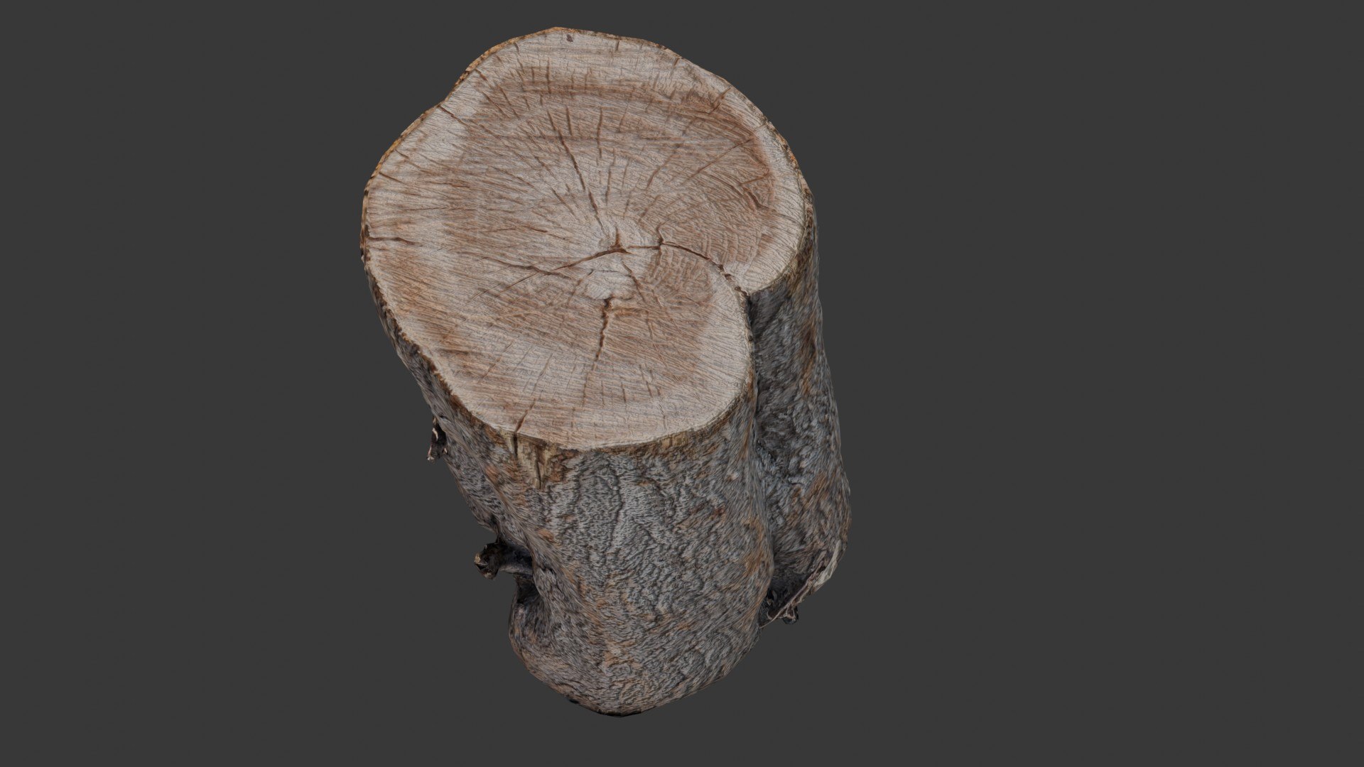 3D Realistic Tree Stump - TurboSquid 2408342