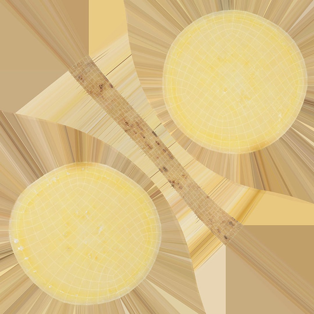 3D Sweet Potato Slice 01 - TurboSquid 2112549