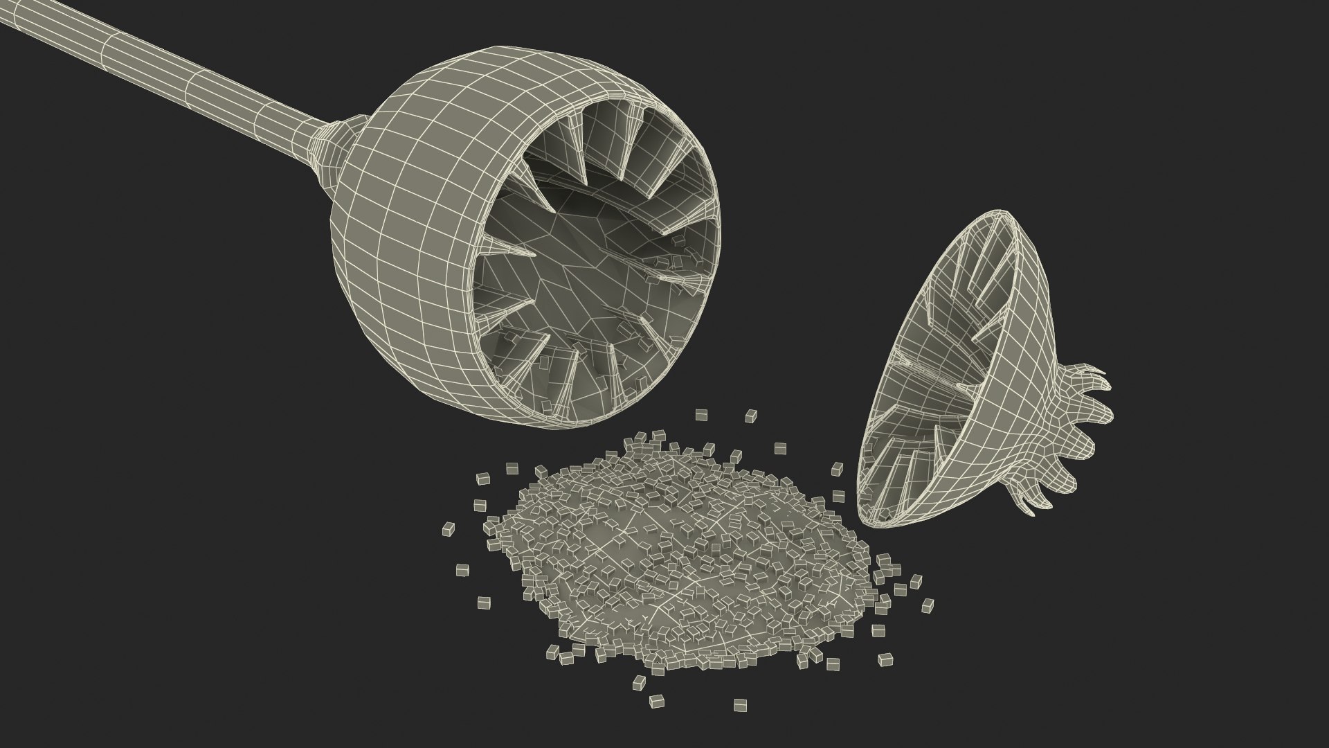 3D Dry Open Poppy Seed Plant Model - TurboSquid 2007288