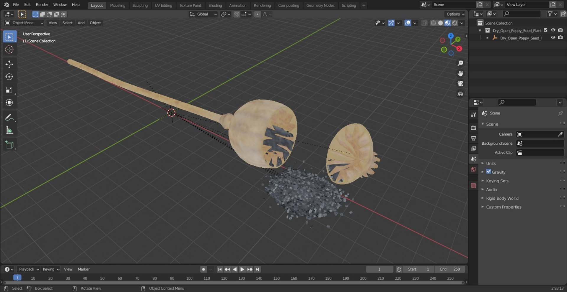3D Dry Open Poppy Seed Plant Model - TurboSquid 2007288