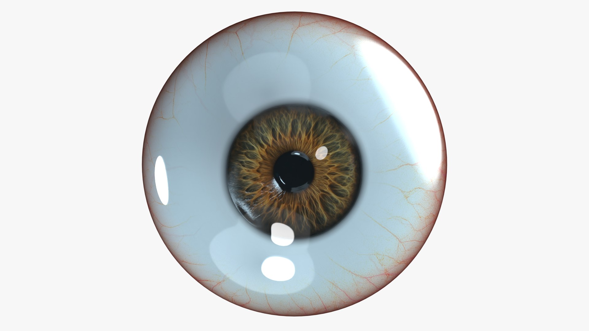 3D 3D Human Eye - TurboSquid 2432016