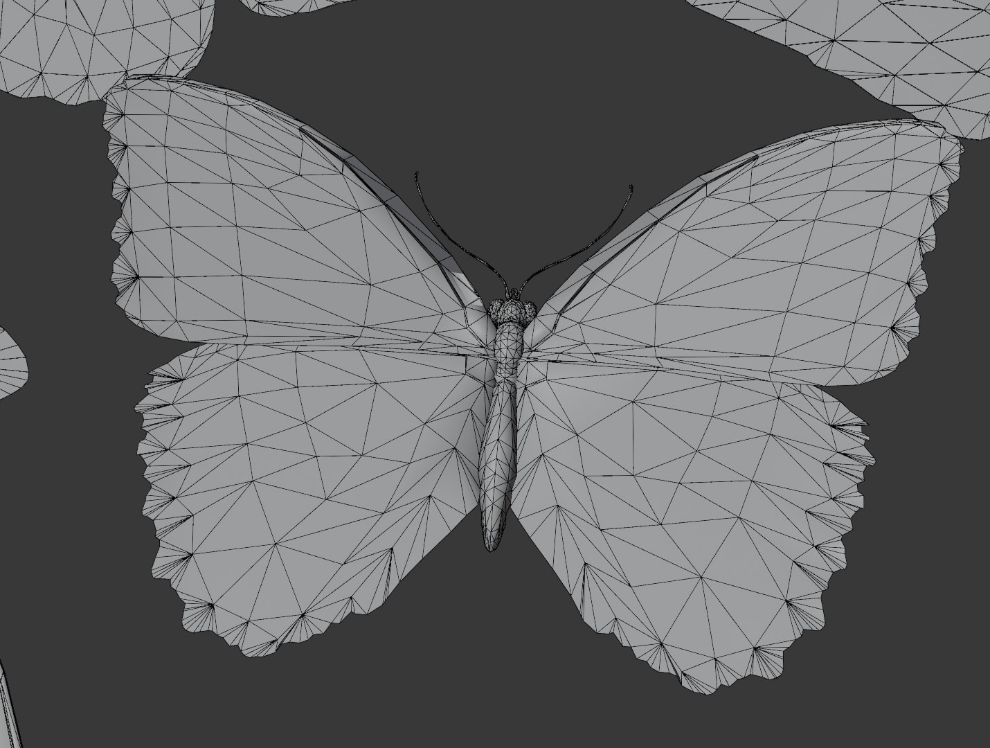 Butterfly 3D Model - TurboSquid 2244215