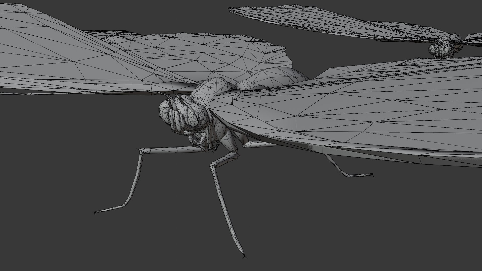 Butterfly 3D Model - TurboSquid 2244215