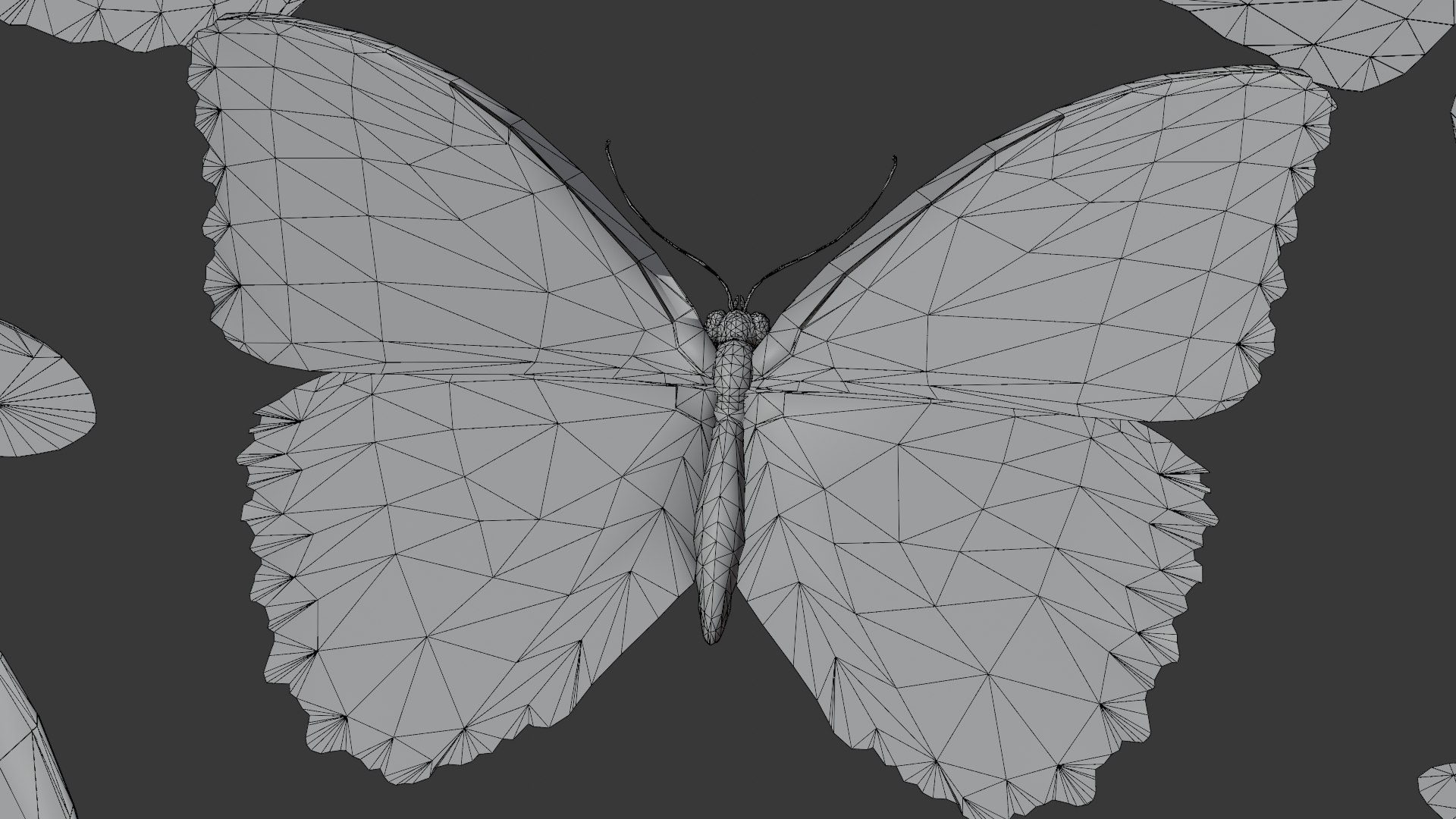 Butterfly 3D Model - TurboSquid 2244215