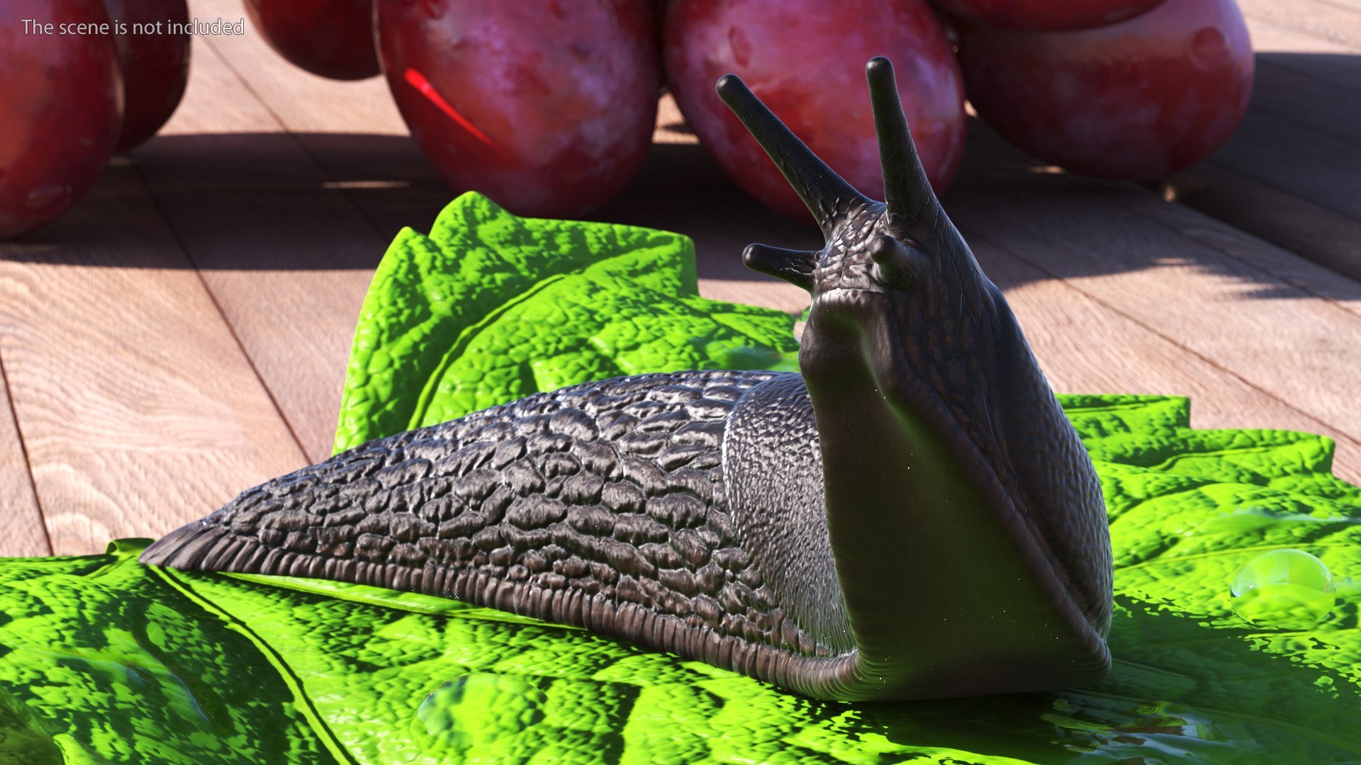 Slugs Rigged Collection For Maya 3D Model - TurboSquid 2513714